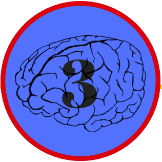 Discover Your Brain Type Test